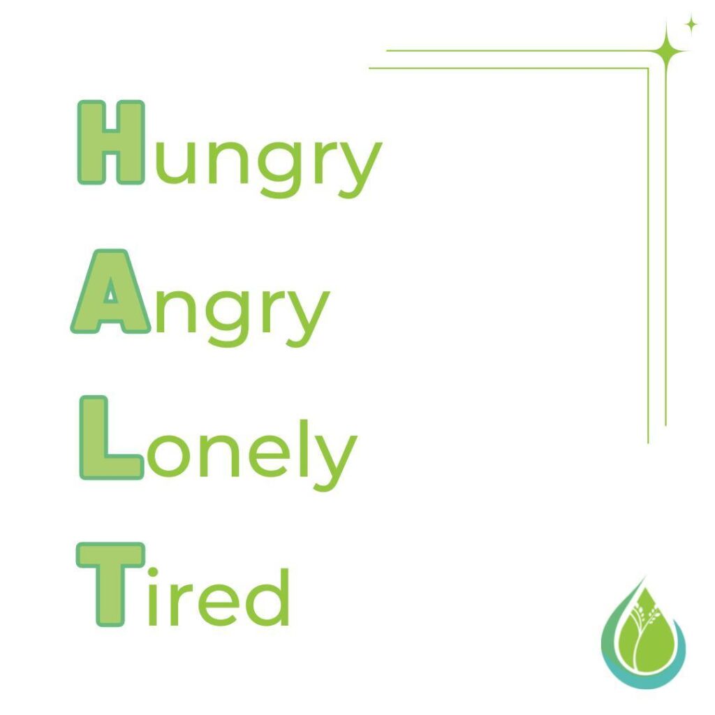 The Ripple Effect Education – A holistic approach to conflict resolution